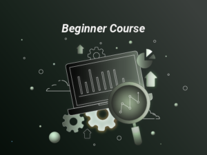 Beginner Course – Excel With Wayne